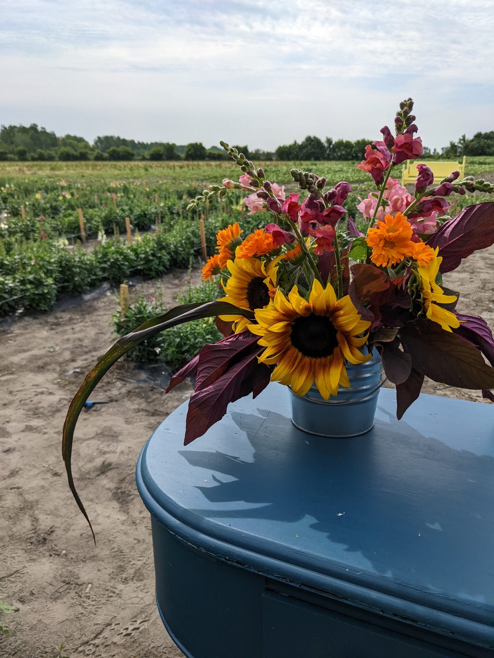 Green Corners Farm